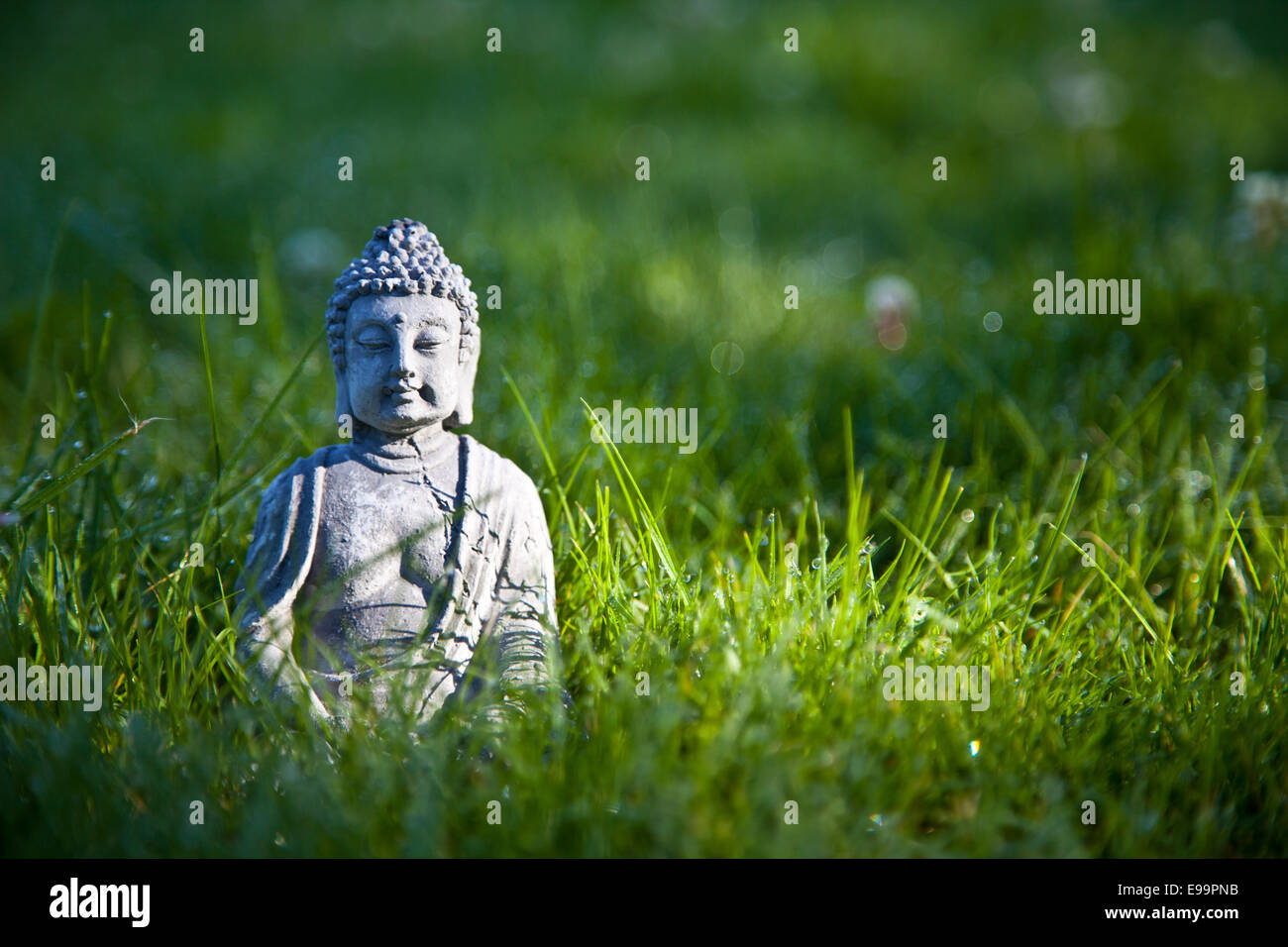 Buddha Meditation in the morning sun Stock Photo - Alamy