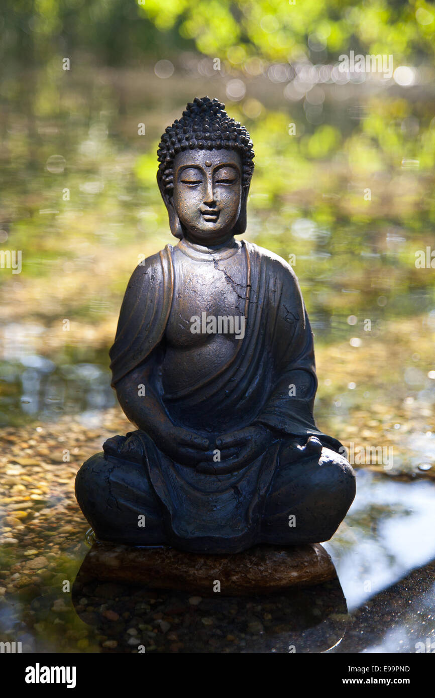 Buddha Meditation in the water Stock Photo - Alamy