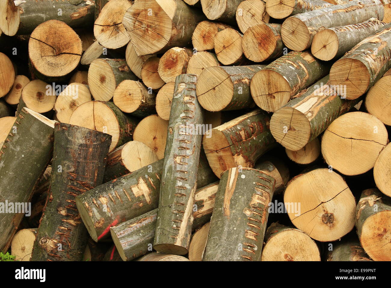Firewood hi-res stock photography and images - Alamy
