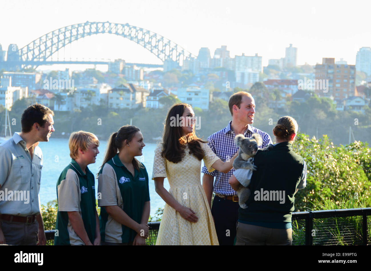 Kate prince zoo hi-res stock photography and images - Alamy