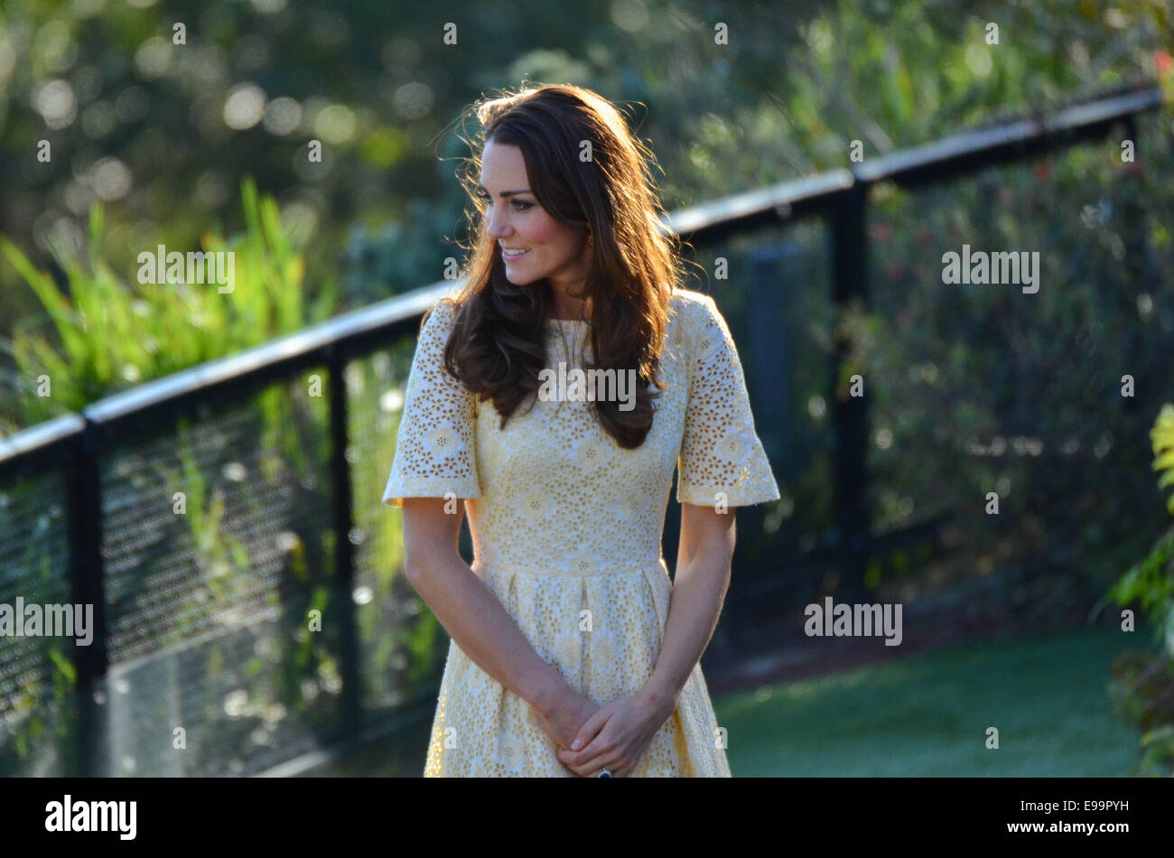Kate prince zoo hi-res stock photography and images - Alamy