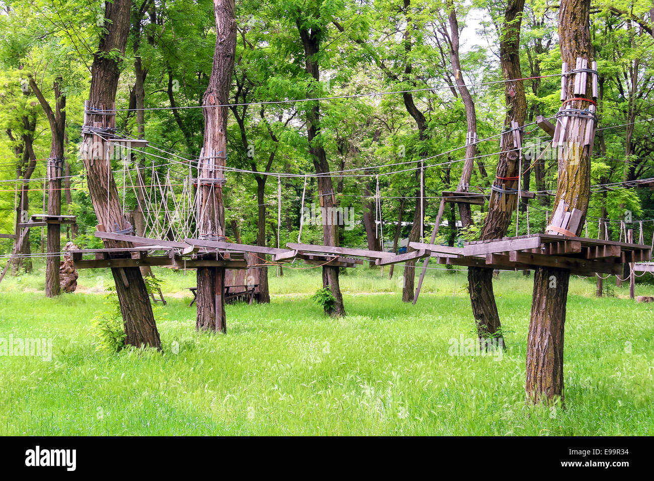 Rope swinging bridge for training camp in the forest Stock Photo - Alamy