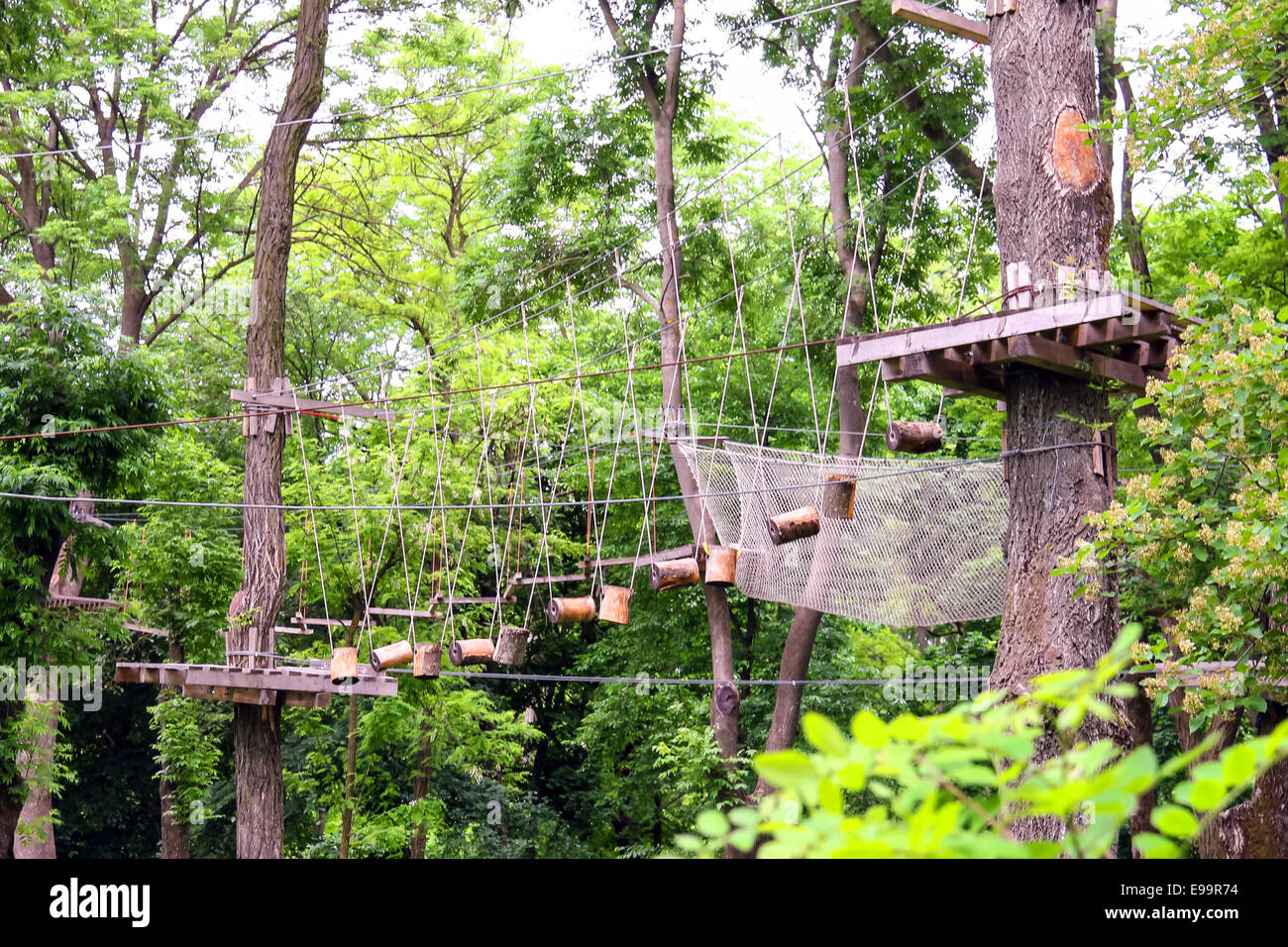 Rope swinging bridge for training camp in the forest Stock Photo - Alamy