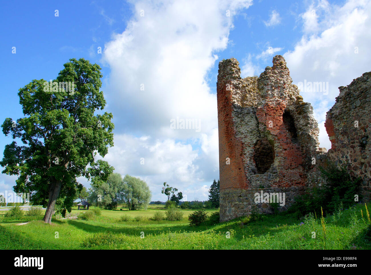 Ruins and tree Stock Photo - Alamy