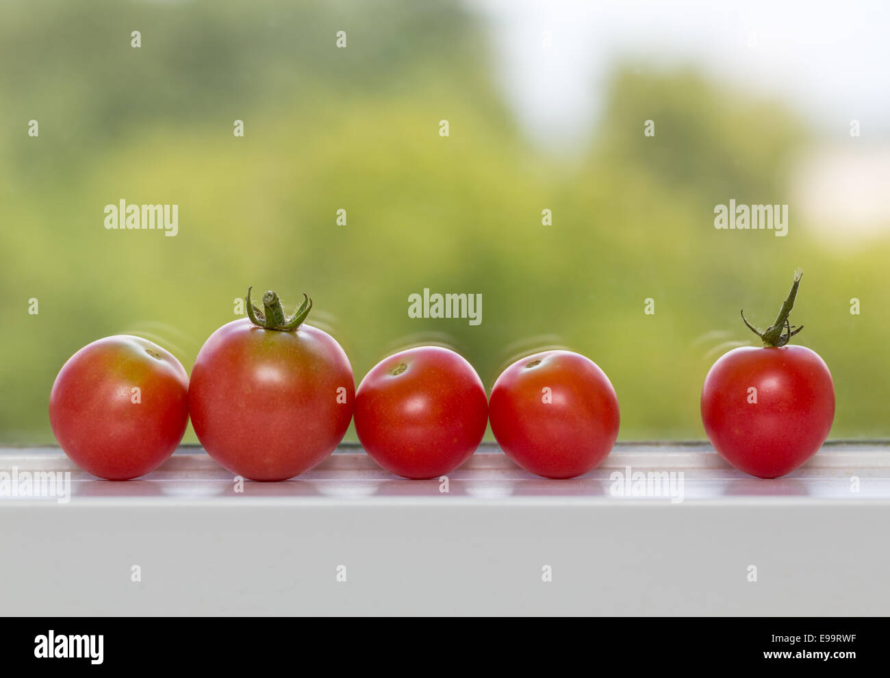 Ripening window hi-res stock photography and images - Alamy