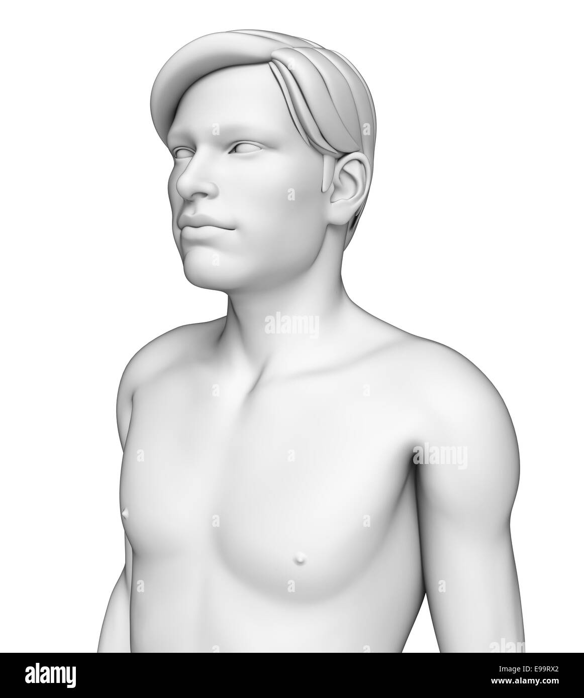 Upper body anatomy, artwork hi-res stock photography and images - Alamy