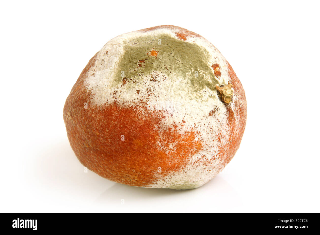 Moldy orange hi-res stock photography and images - Alamy