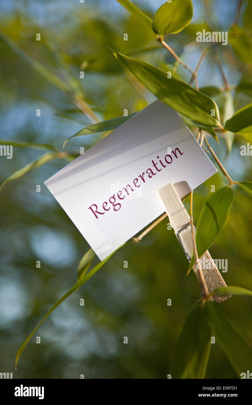 The word Regeneration on paper in nature Stock Photo - Alamy