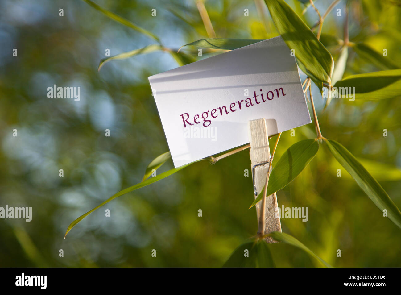 The word Regeneration on paper in nature Stock Photo - Alamy