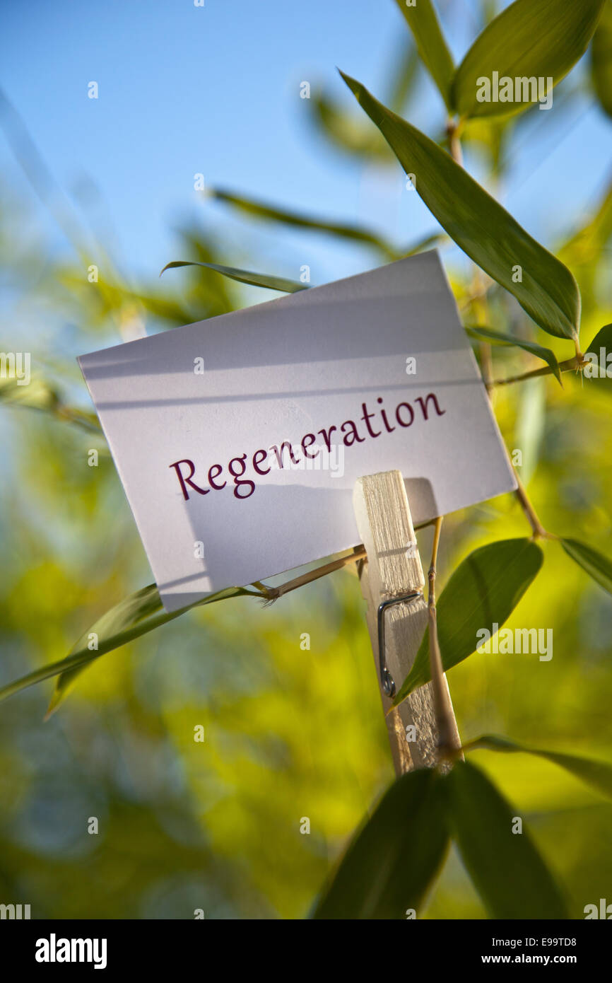 The word Regeneration on paper in nature Stock Photo - Alamy