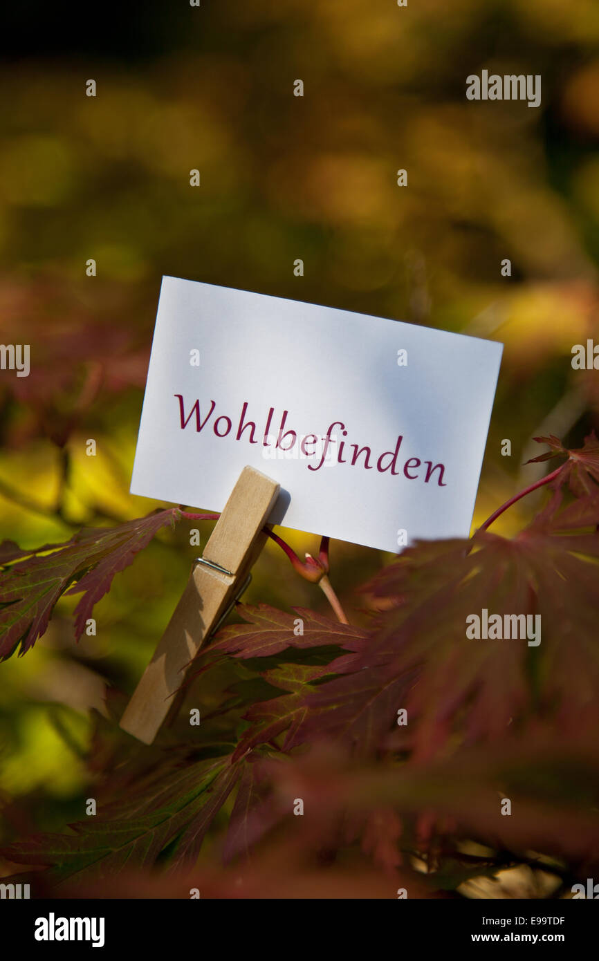 The word Wohlbefinden on paper in nature Stock Photo - Alamy