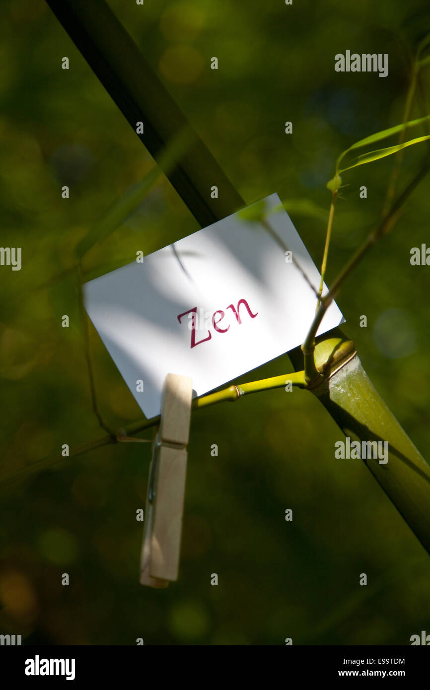 Japan bambus landschaft hi-res stock photography and images - Alamy