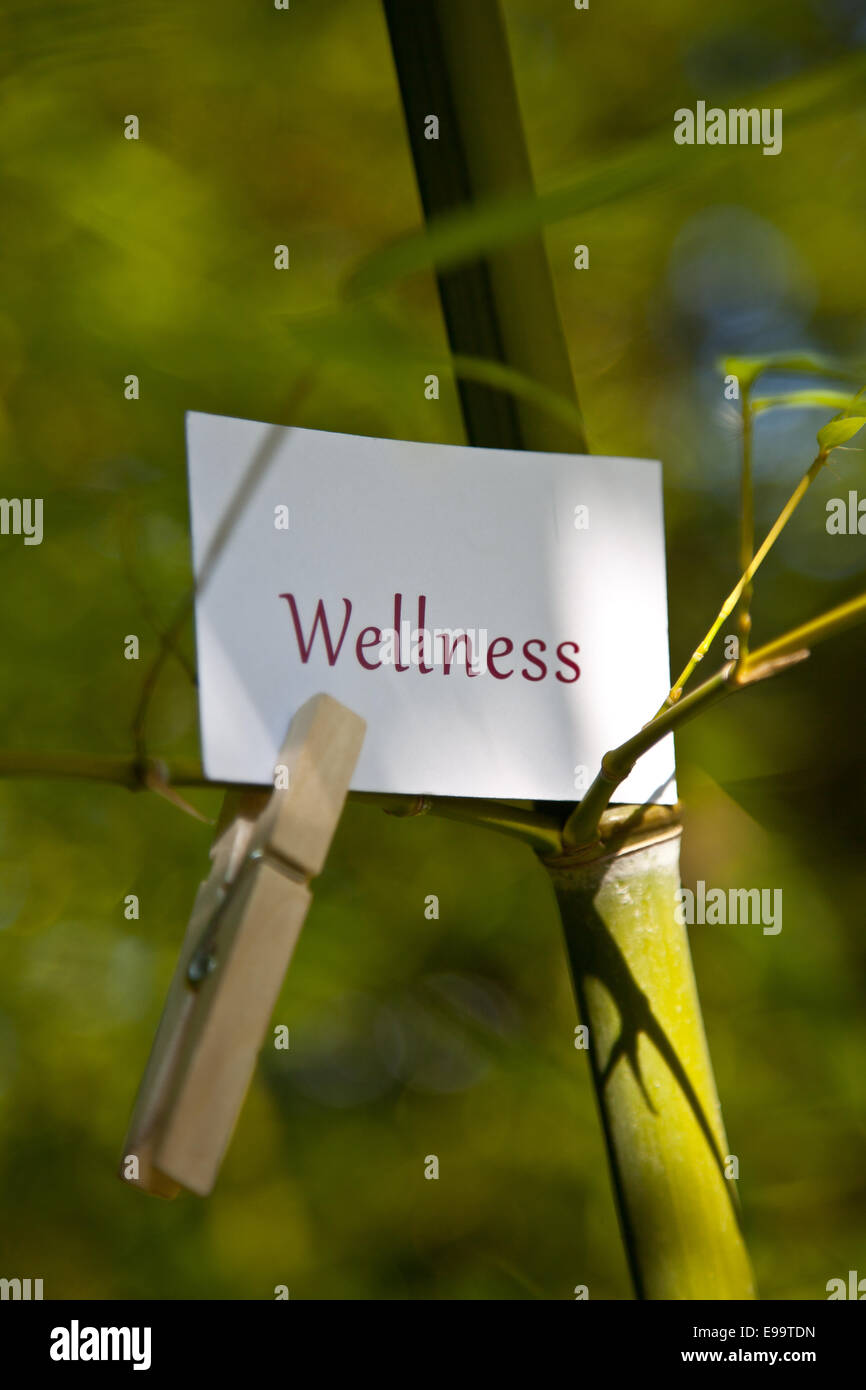 The word Wellness on paper in nature Stock Photo - Alamy