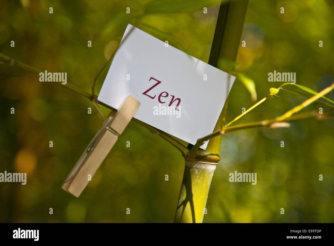 The word Zen on paper in nature Stock Photo - Alamy