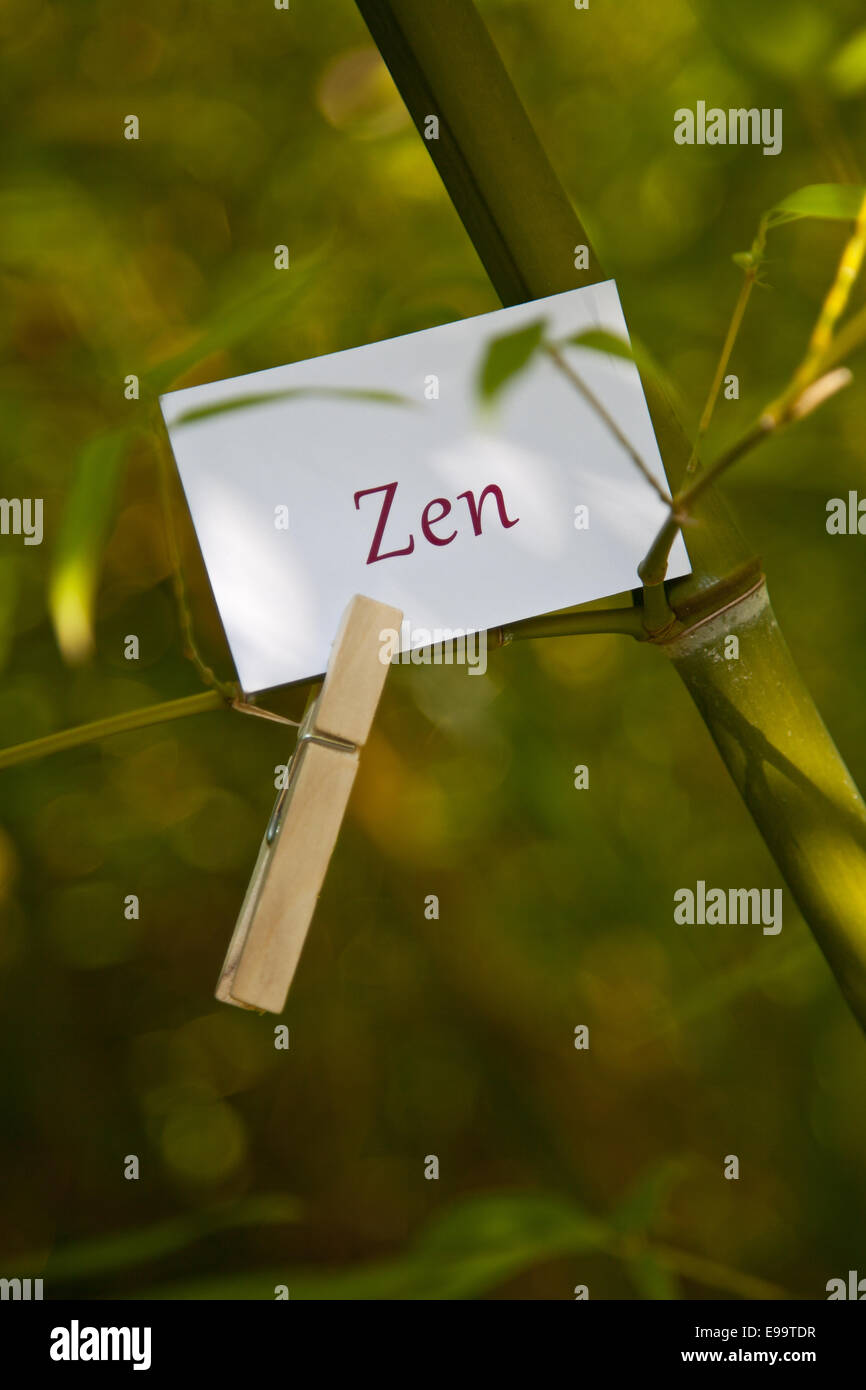 Japan bambus landschaft hi-res stock photography and images - Alamy