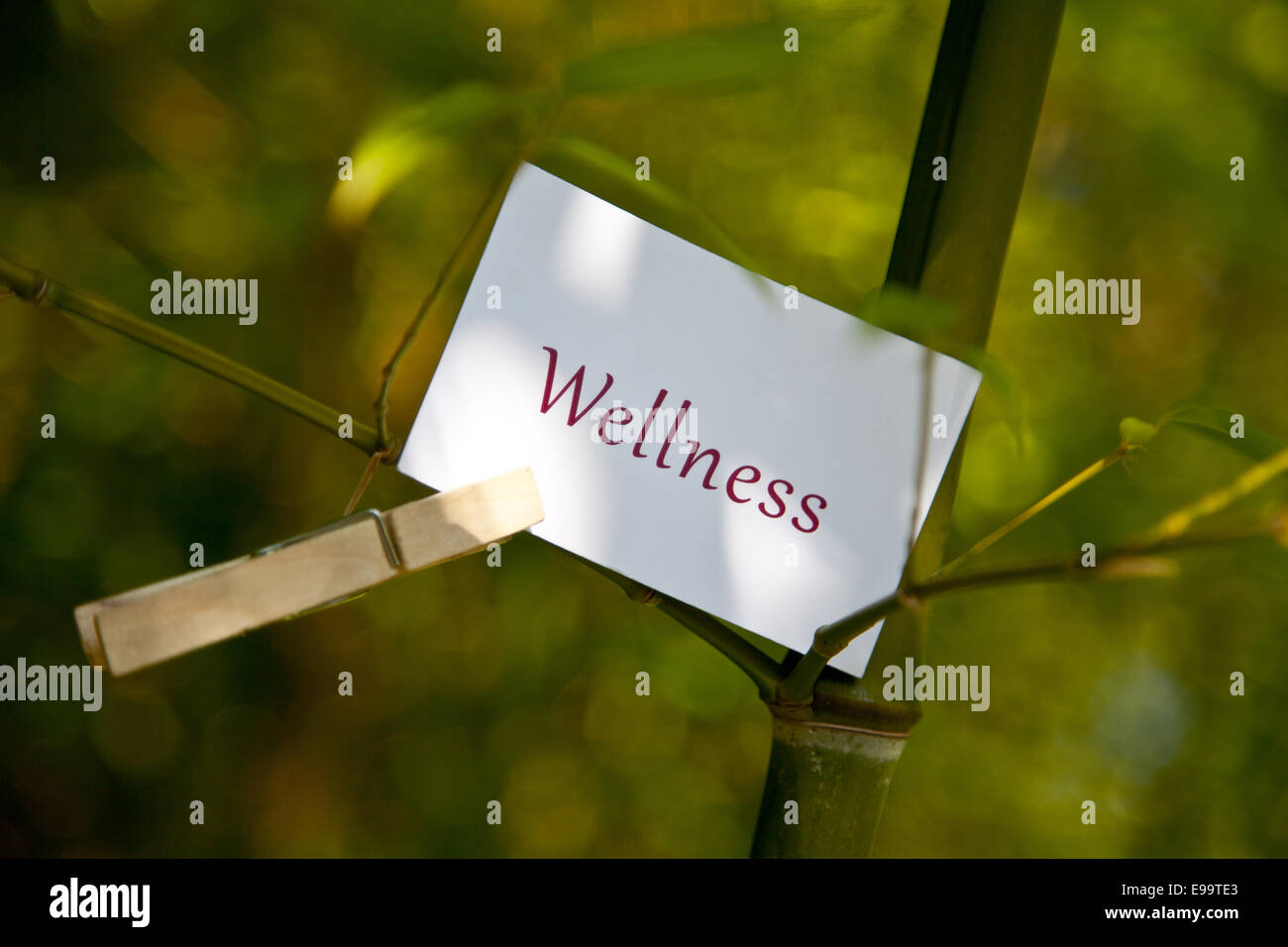 The word Wellness on paper in nature Stock Photo - Alamy