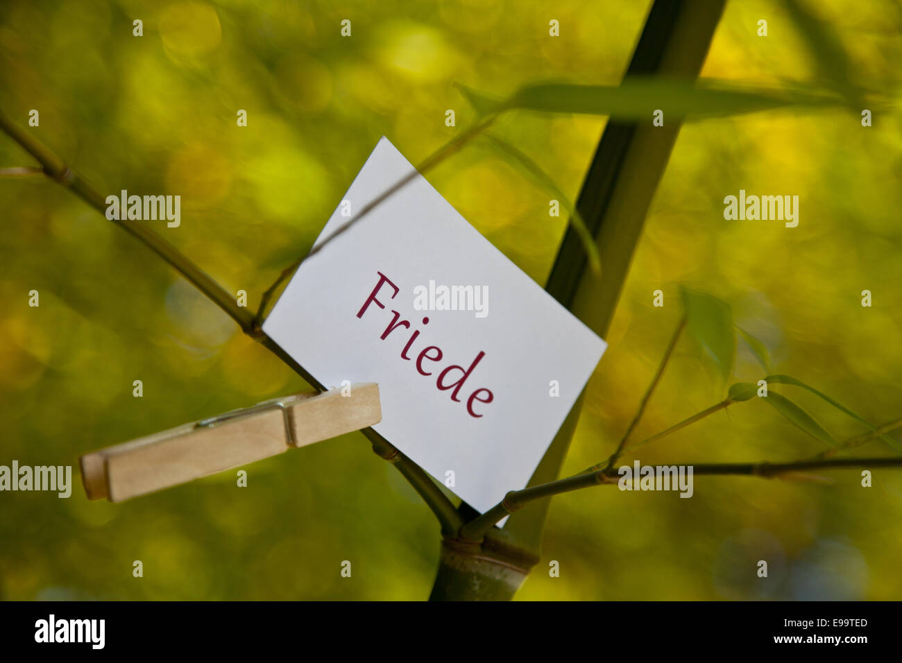 The word Friede on paper in nature Stock Photo - Alamy