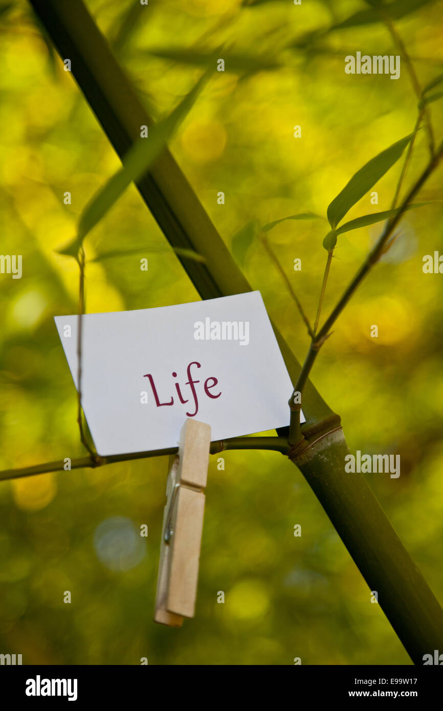 The word Life on paper in nature Stock Photo - Alamy