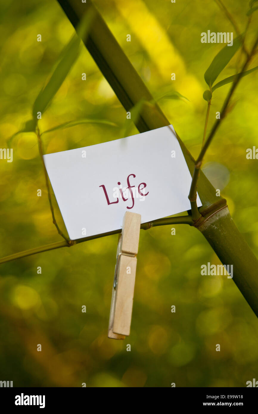 The word Life on paper in nature Stock Photo - Alamy