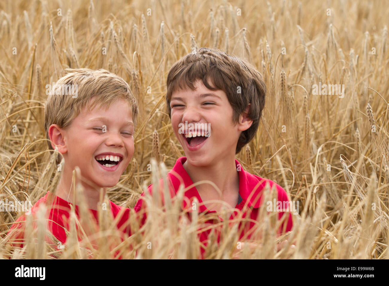 Children in a field hi-res stock photography and images - Alamy