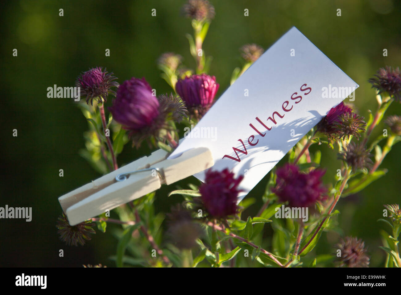 The word Wellness on paper in nature Stock Photo - Alamy