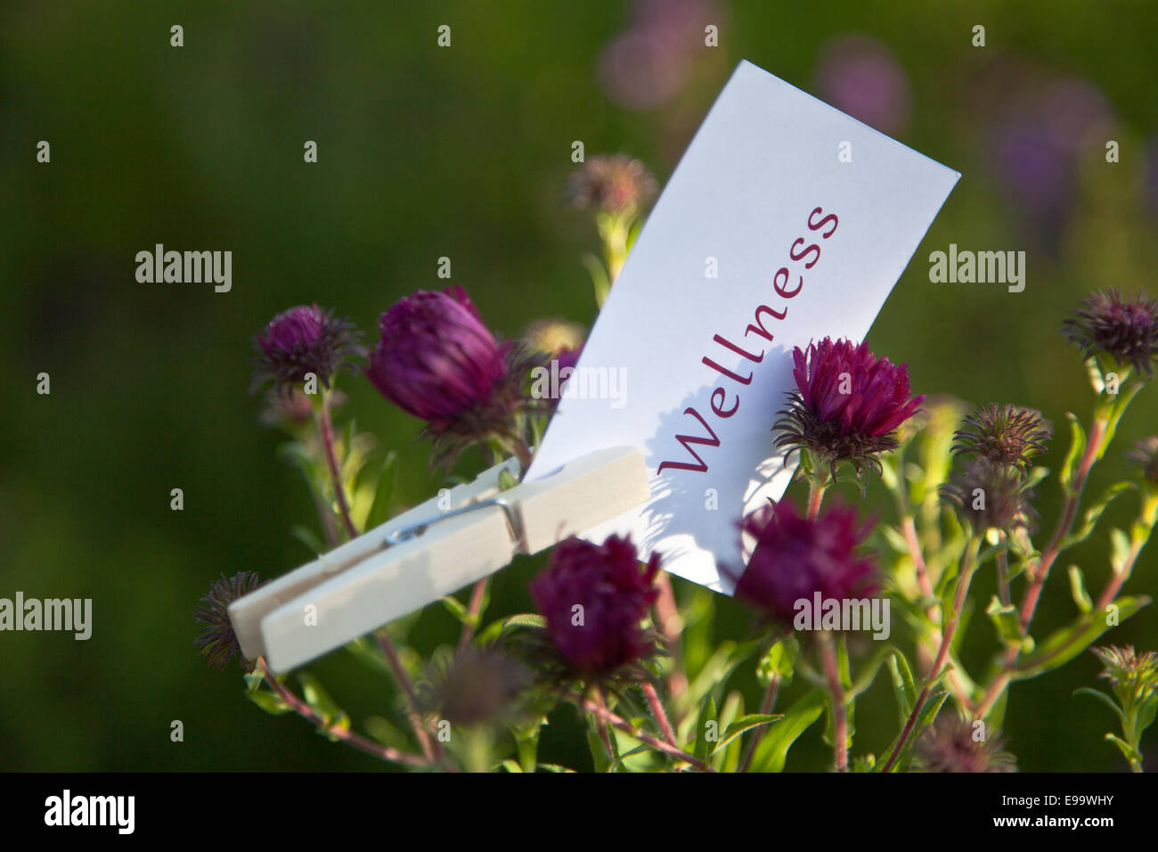 The word Wellness on paper in nature Stock Photo - Alamy