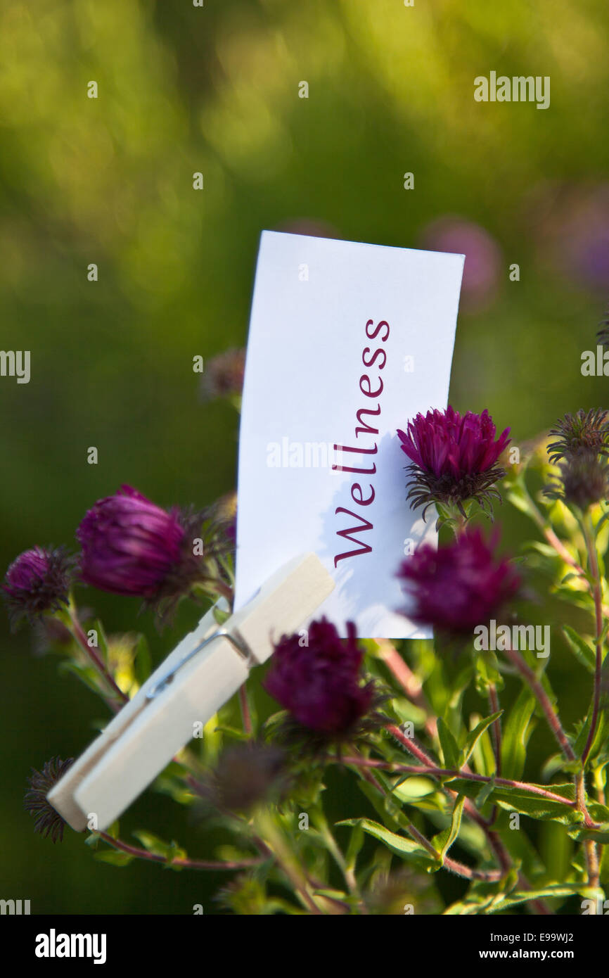 The word Wellness on paper in nature Stock Photo - Alamy