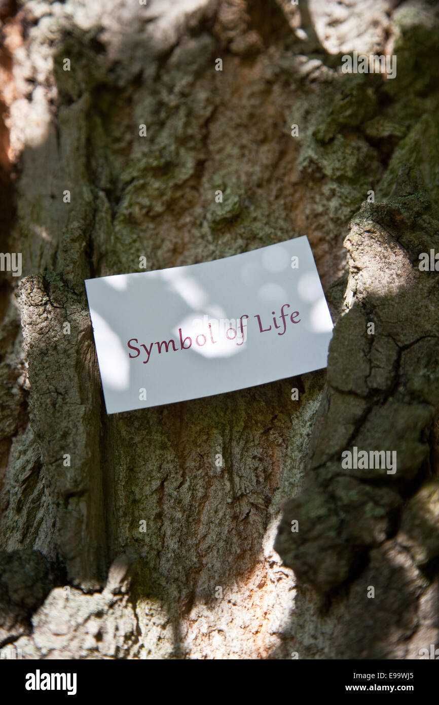 Symbol of Life on paper in nature Stock Photo - Alamy