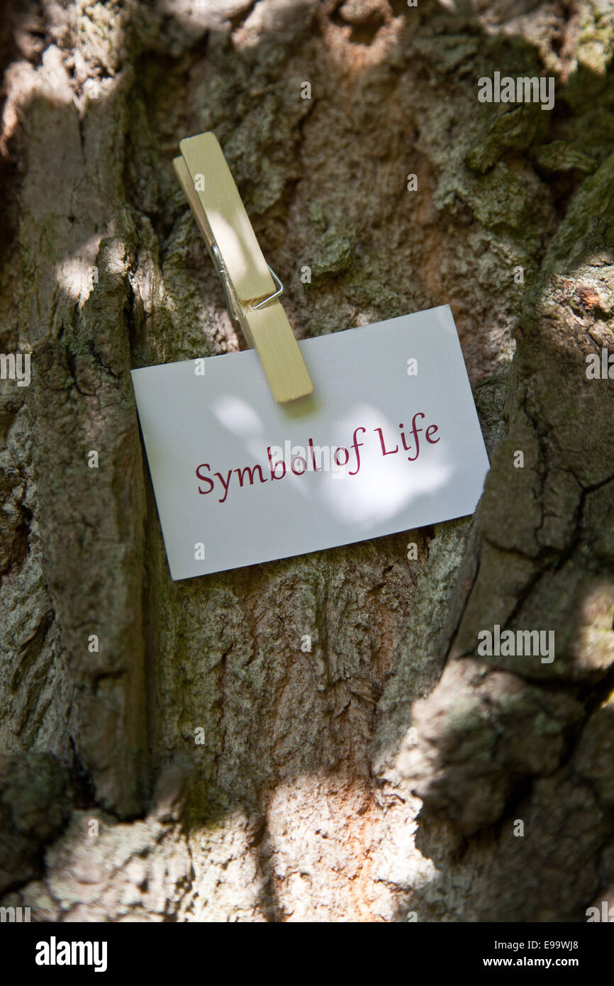 Symbol of Life on paper in nature Stock Photo - Alamy