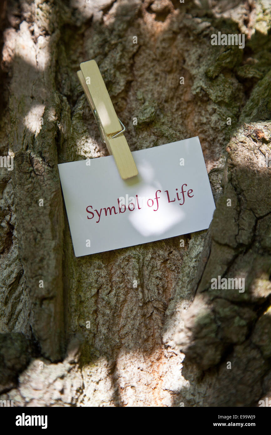 Symbol of Life on paper in nature Stock Photo - Alamy