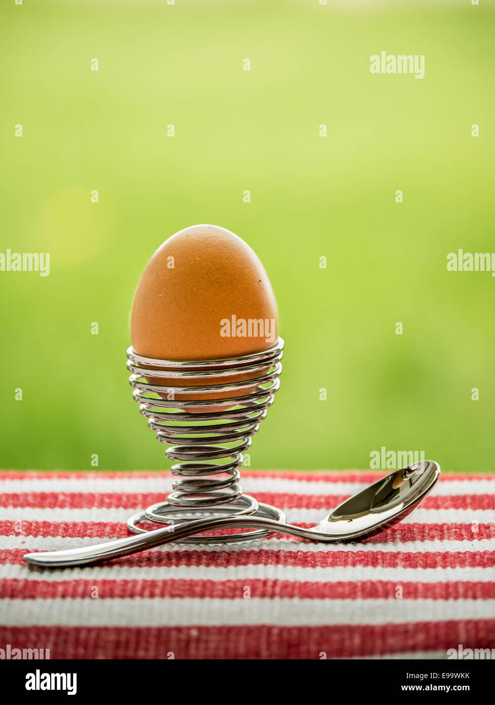 Pretty egg hi-res stock photography and images - Alamy
