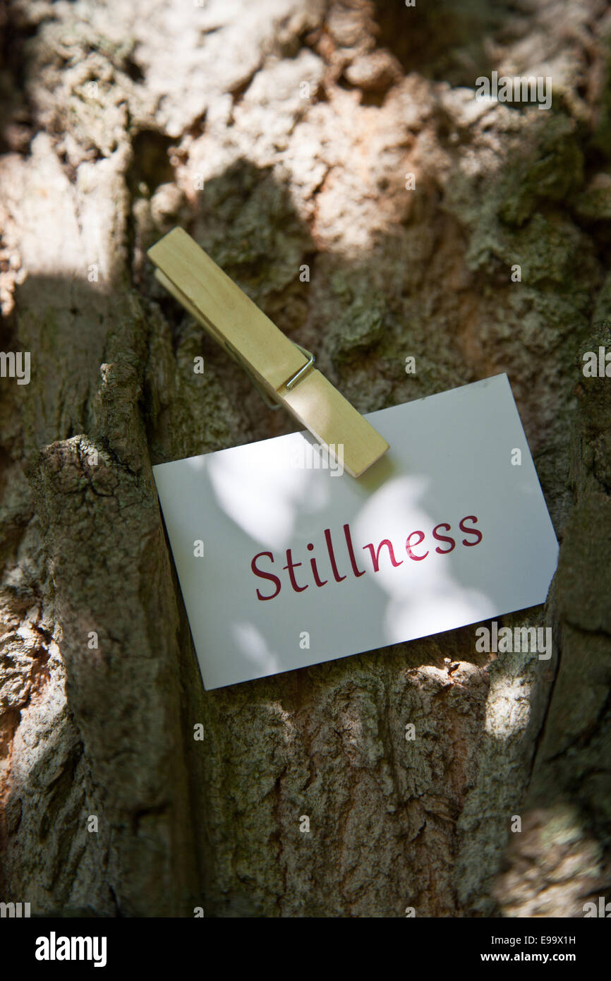 The word Stillness on paper in nature Stock Photo - Alamy