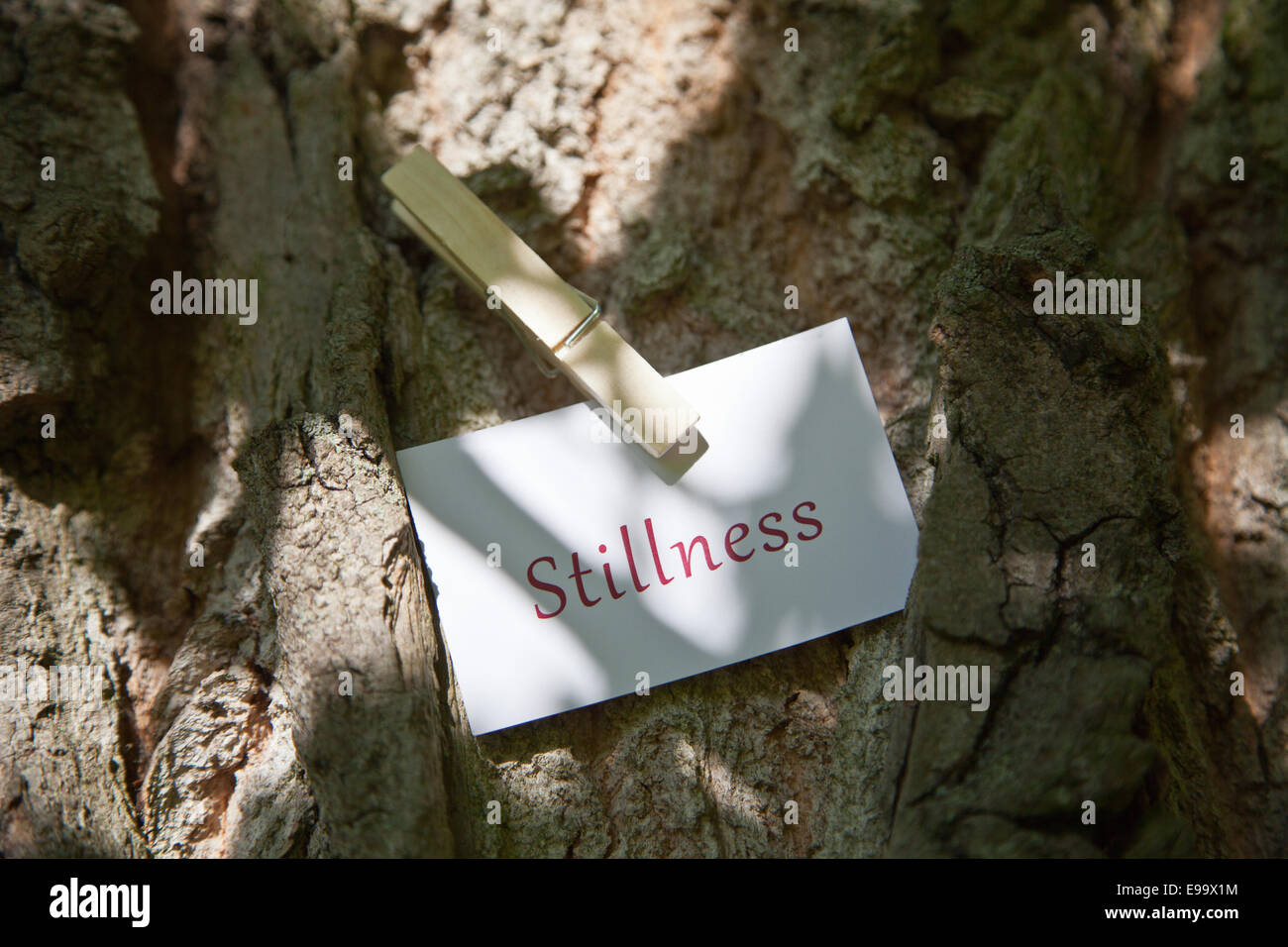 The word Stillness on paper in nature Stock Photo - Alamy