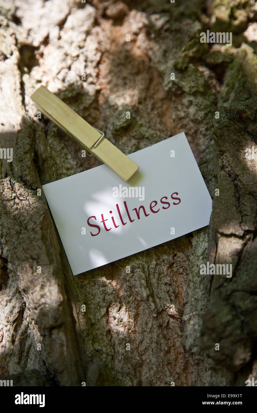 The word Stillness on paper in nature Stock Photo - Alamy