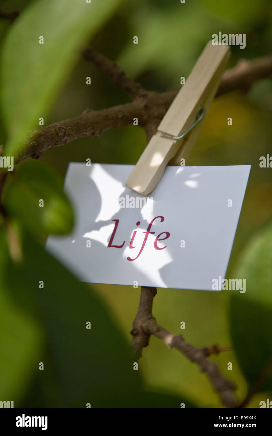 The word Life on paper in nature Stock Photo - Alamy