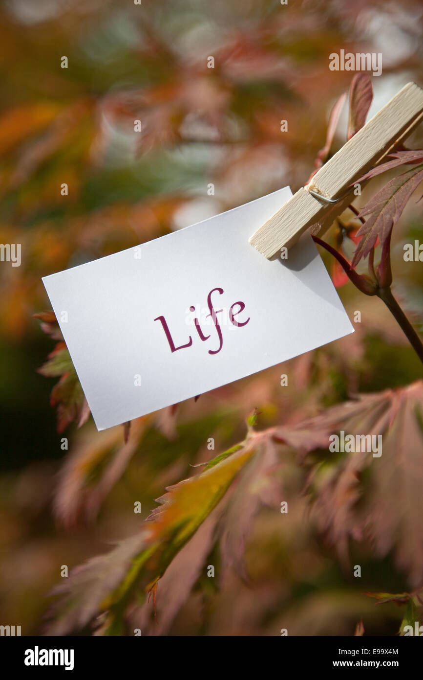 The word Life on paper in nature Stock Photo - Alamy