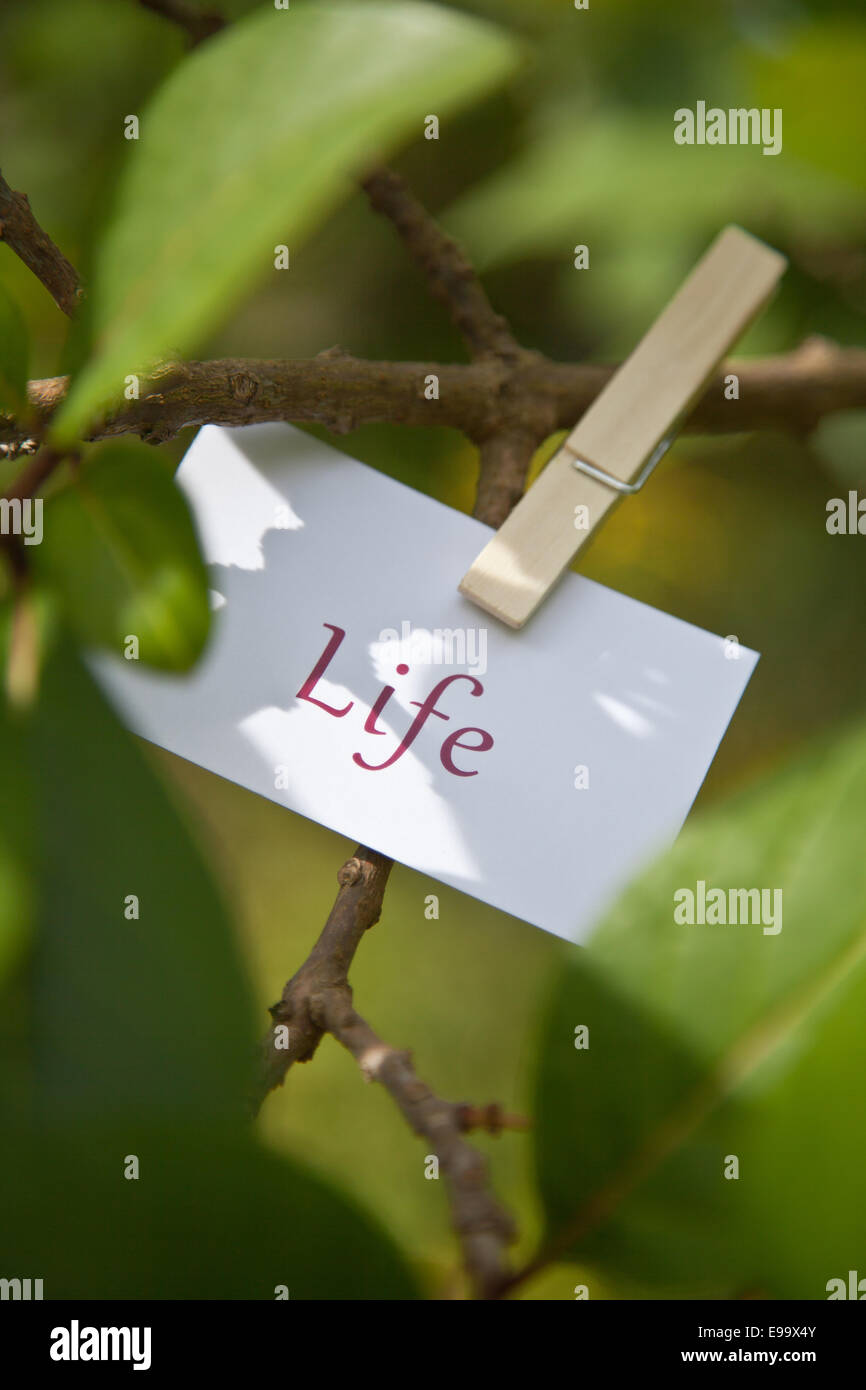 The word Life on paper in nature Stock Photo - Alamy