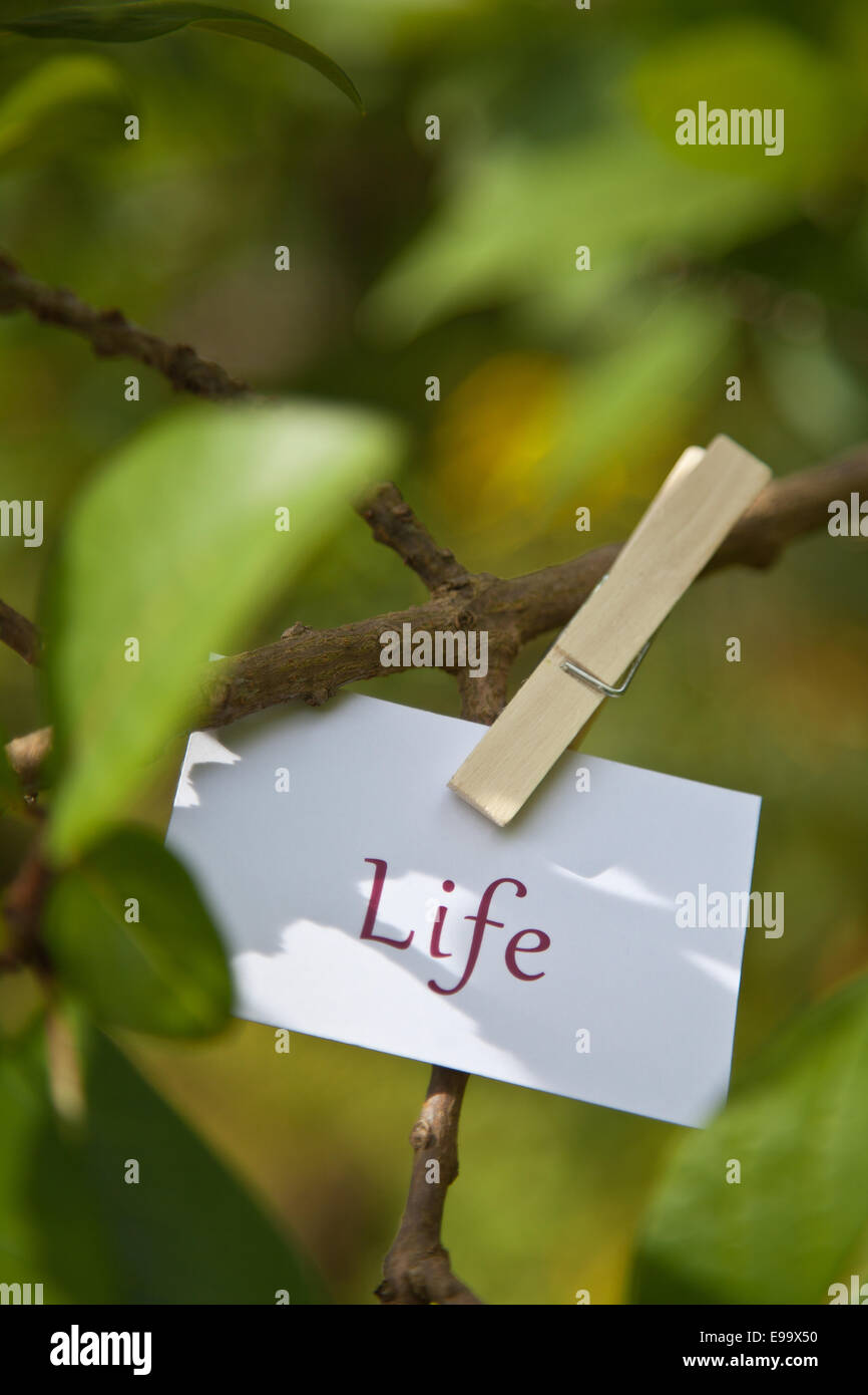 The word Life on paper in nature Stock Photo - Alamy
