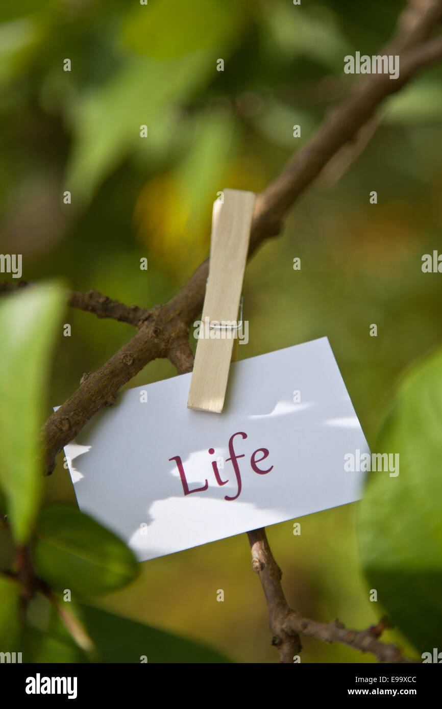 The word Life on paper in nature Stock Photo - Alamy