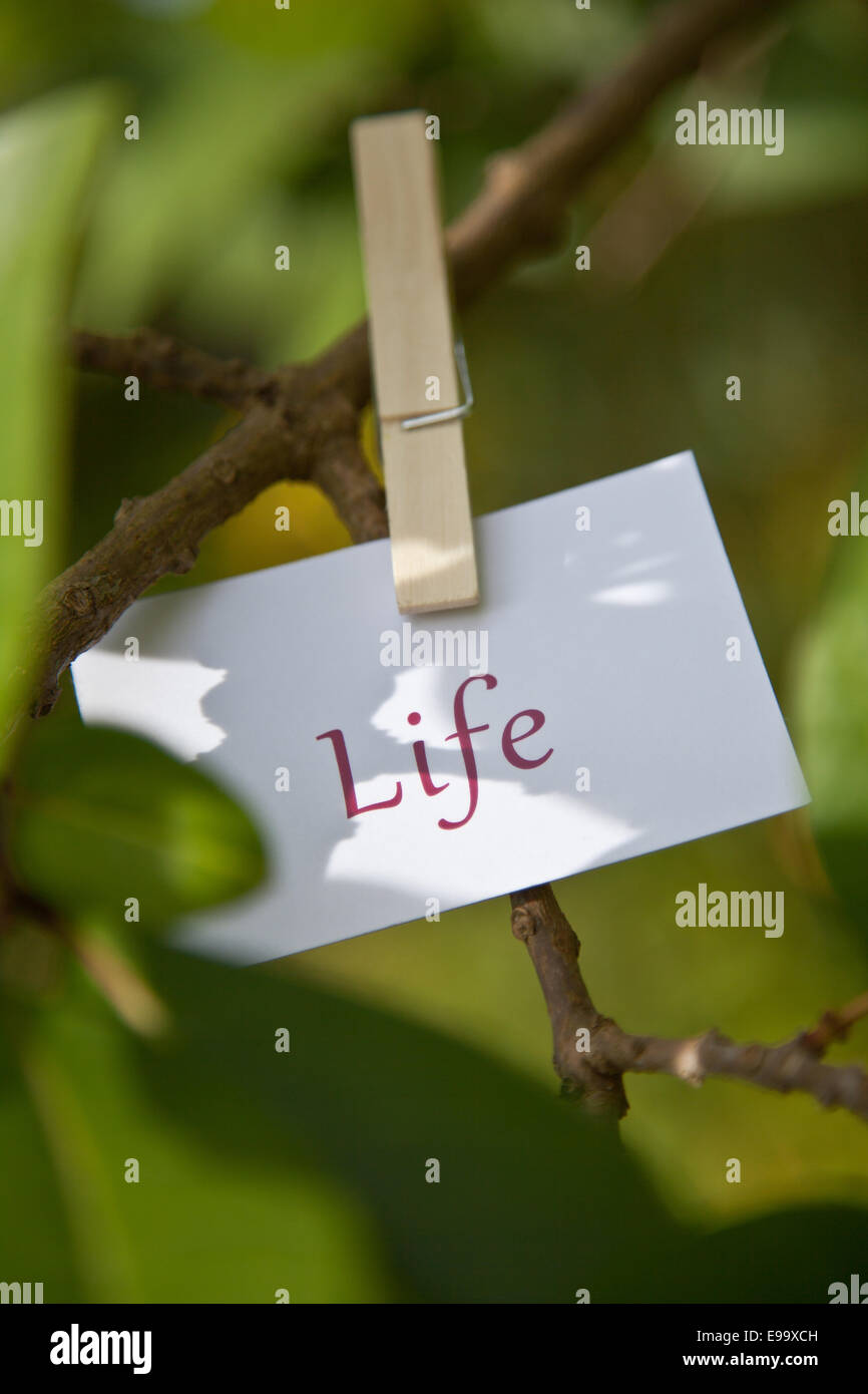 The word Life on paper in nature Stock Photo - Alamy
