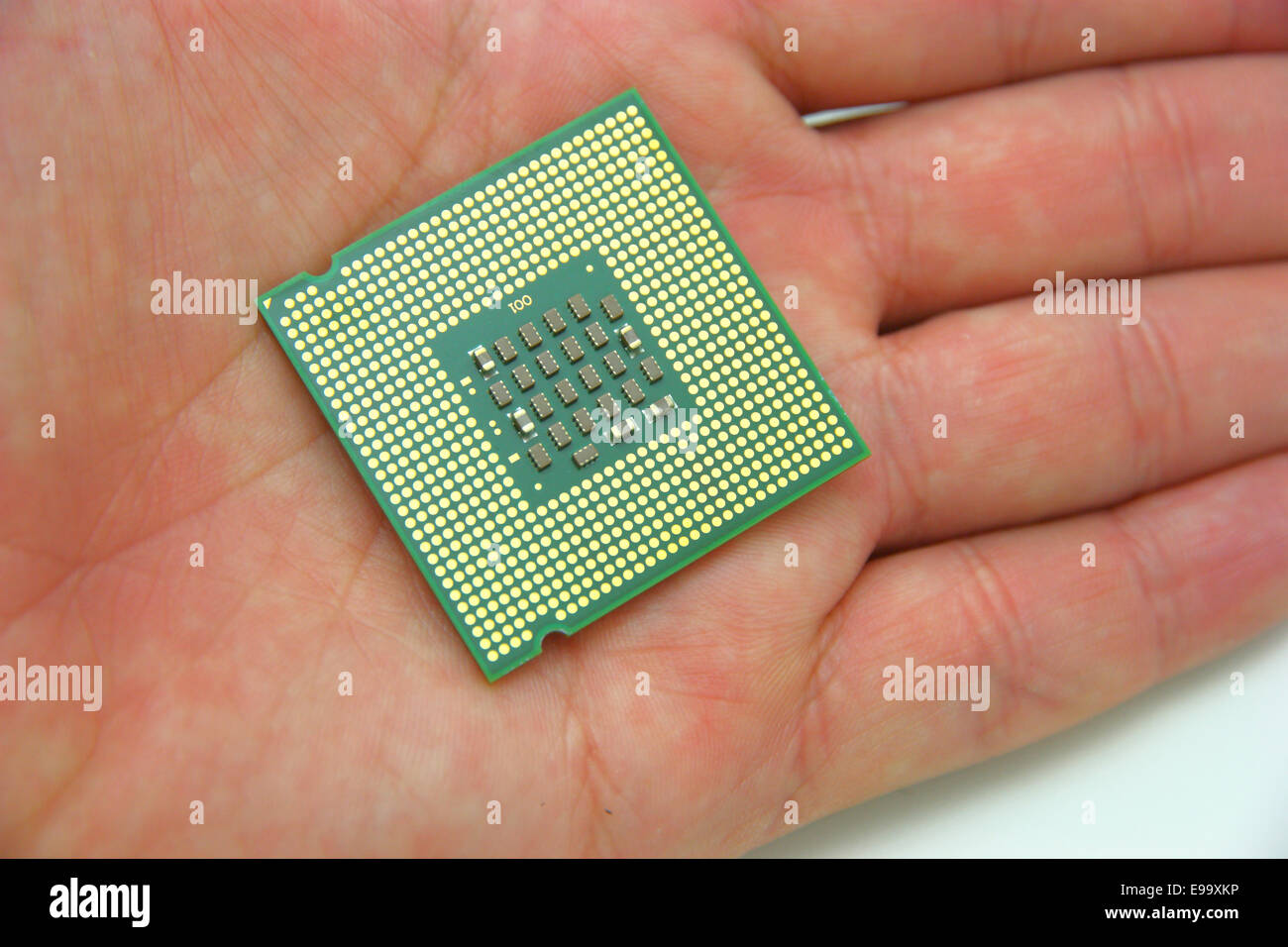 Processor in hand Stock Photo - Alamy
