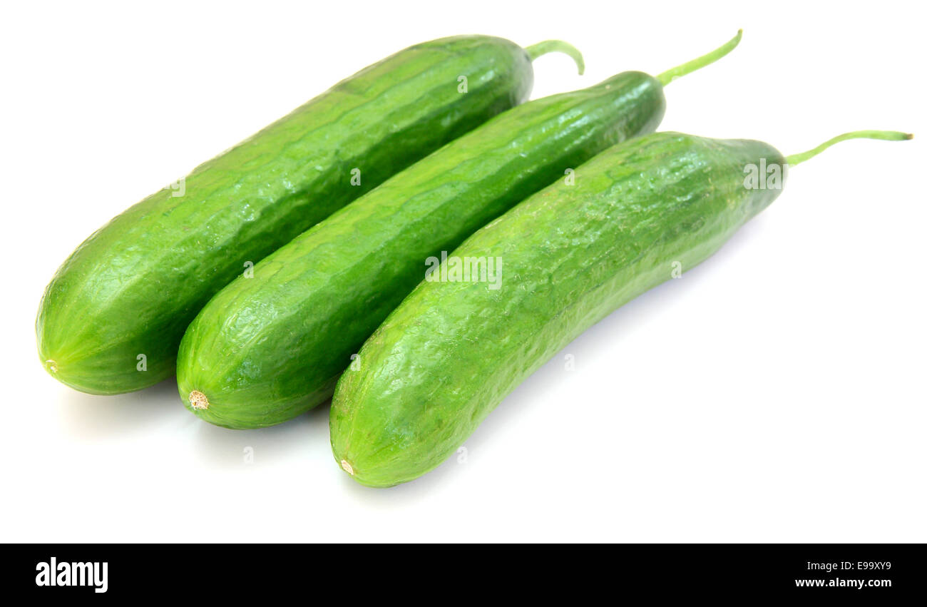 The fresh green cucumber Stock Photo - Alamy