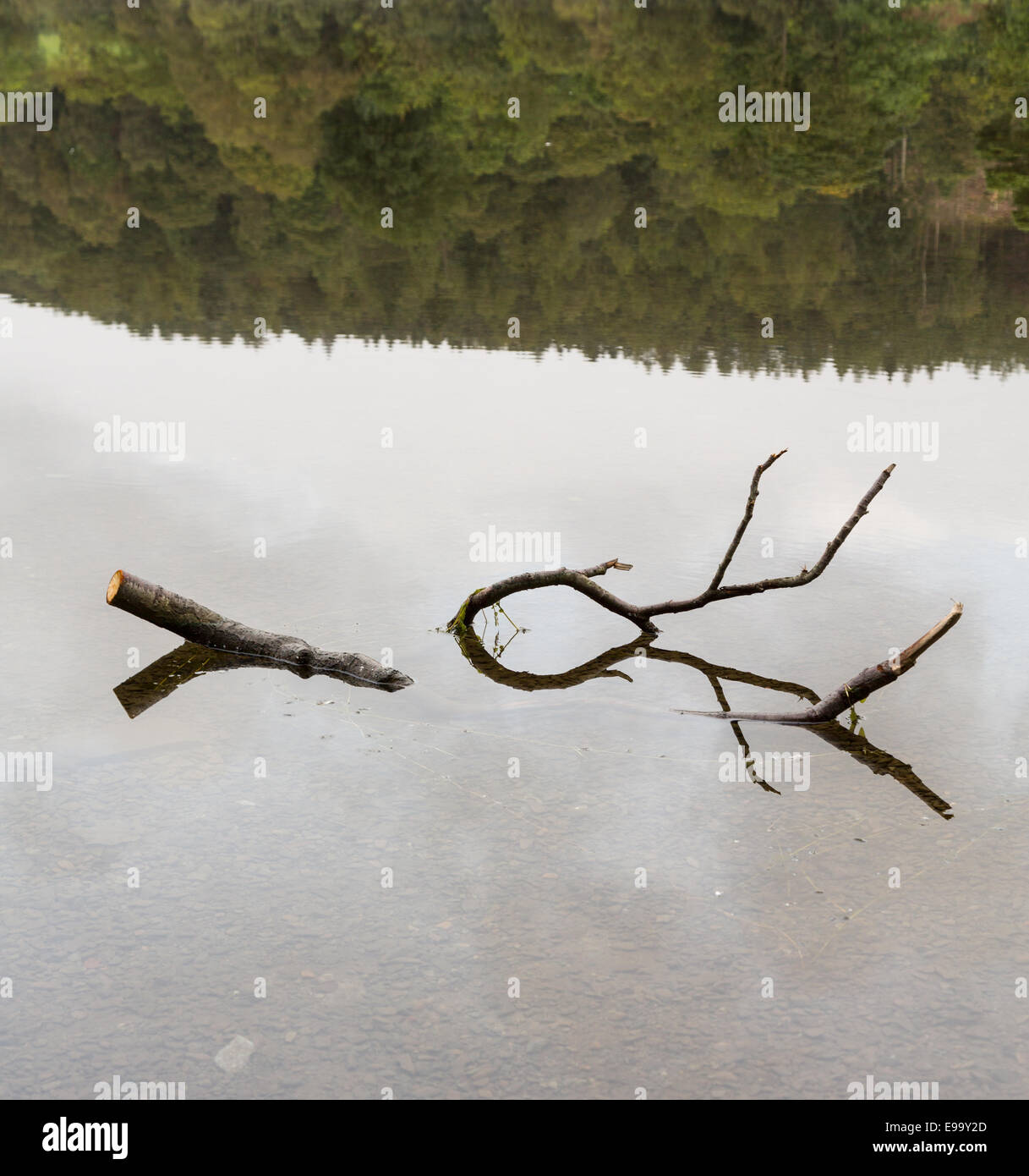 Lakeland reflection hi-res stock photography and images - Alamy