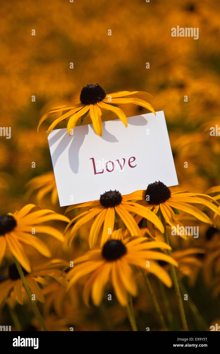 The word Love on paper in nature Stock Photo - Alamy