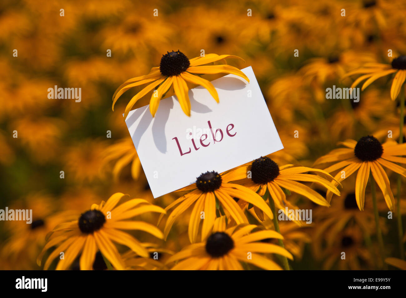 The word Liebe on paper in nature Stock Photo - Alamy