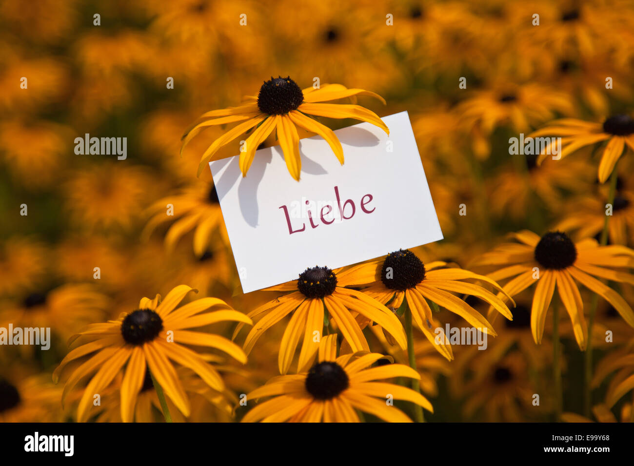 The word Liebe on paper in nature Stock Photo - Alamy