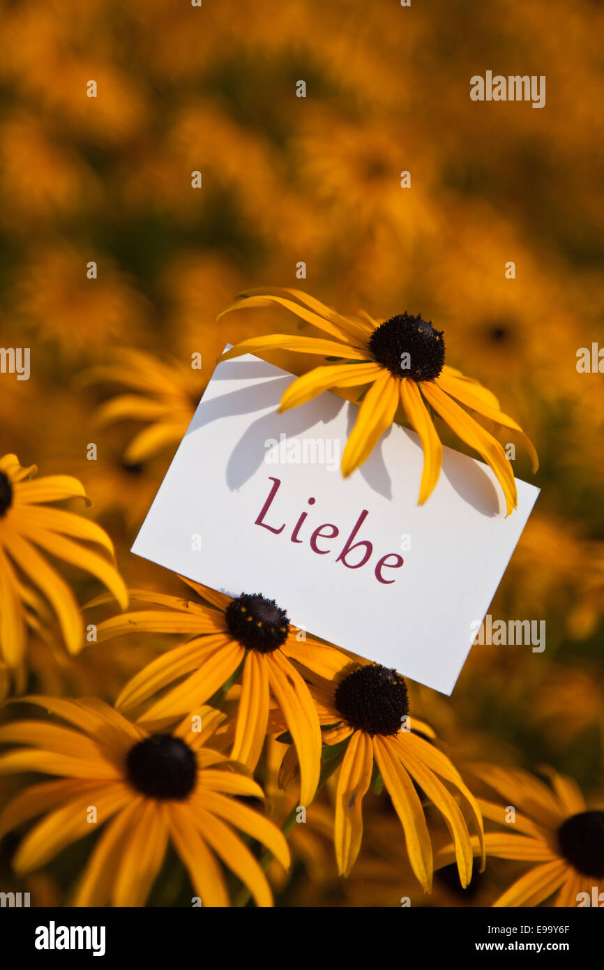 The word Liebe on paper in nature Stock Photo - Alamy