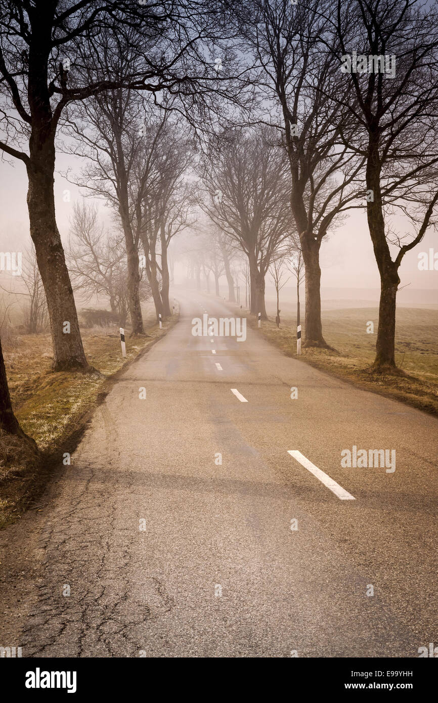 road with trees Stock Photo - Alamy