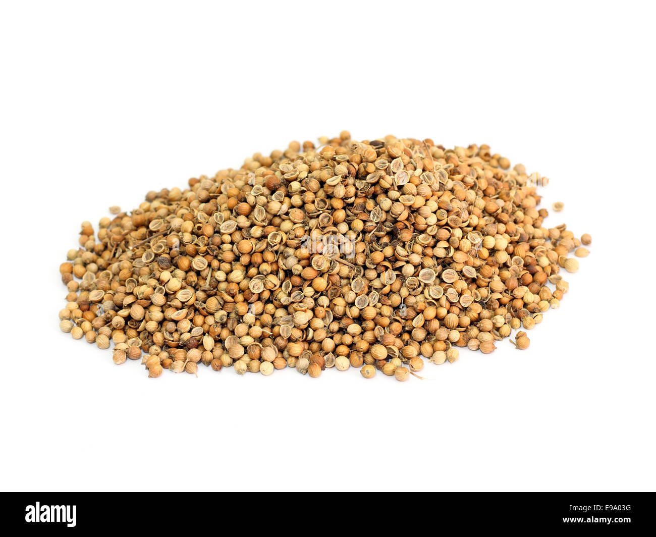 many coriander seeds Stock Photo - Alamy