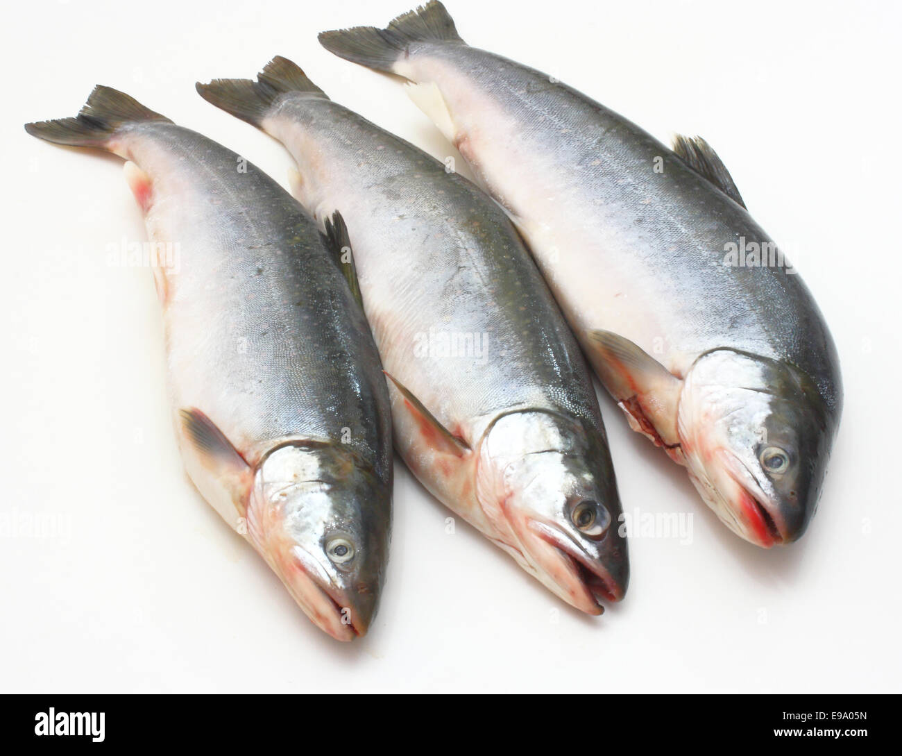 Fish fillet preparation hi-res stock photography and images - Alamy